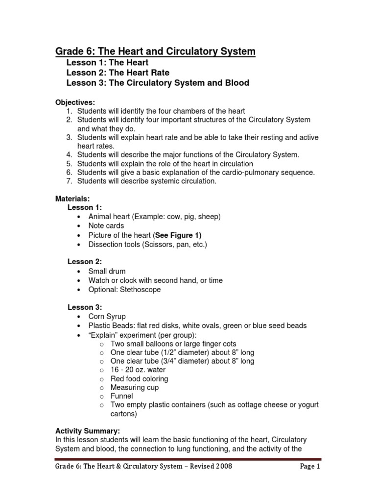 Grade 6 The Heart and Circulatory System PDF | PDF