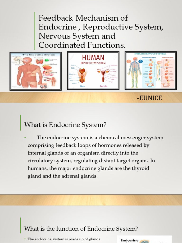 Feedback Mechanisms in Body Systems | PDF
