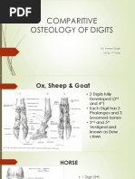 Triadan Tooth Numbering System | PDF