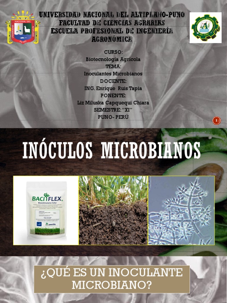 Inoculantes Microbianos en Agricultura | PDF