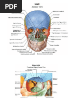 PERNKOPF Atlas de Anatomía Humana Aplicada y Topográfica Tomo 1 2a Ed ...