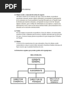 Organigrama de Una Empresa Petrolera | PDF | Planificación | Presupuesto