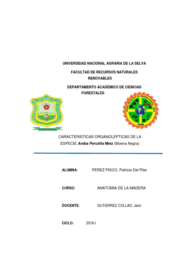 Características de Aniba Perutilis | PDF | Hogar, jardinería y ...