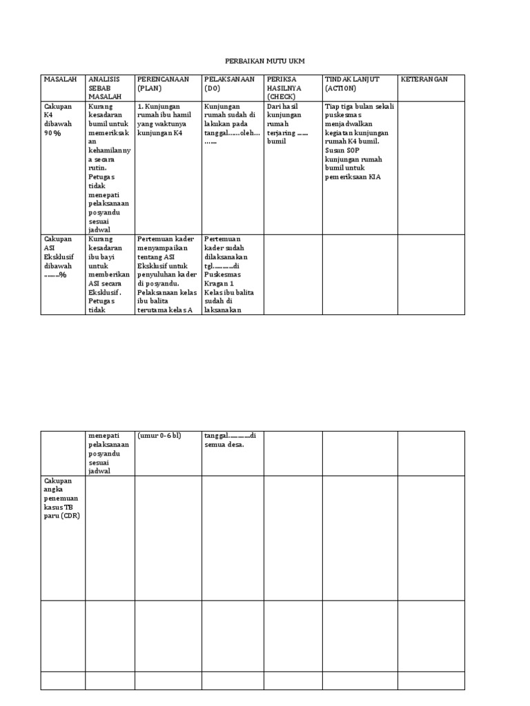 Contoh PDCA PERBAIKAN KINERJA UKM | PDF