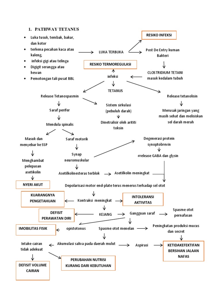 Pathway Patofisiologi Tetanus | PDF