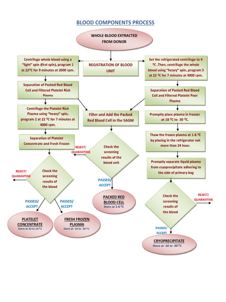 Blood Component Preparation Flowchart | PDF | Blood Plasma | Hematology