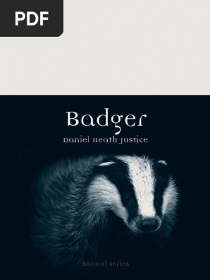 Honey Badger Slang Meaning