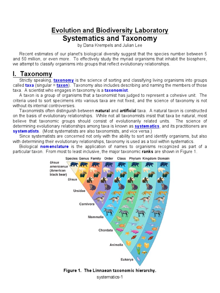 161S16 Systematics | PDF | Phylogenetic Tree | Taxonomy (Biology)