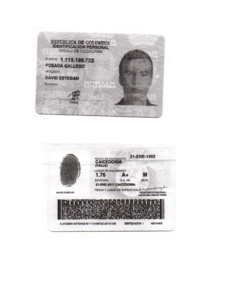 Cedula 150% David | PDF