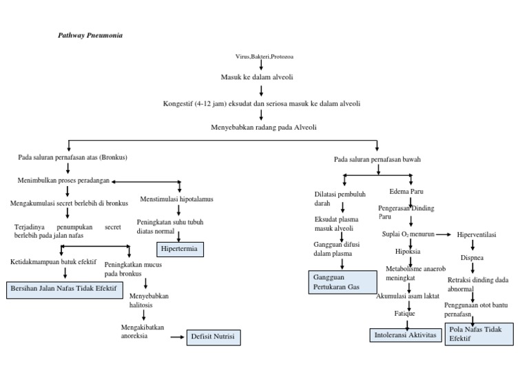 Pathway Pneumonia Fix | PDF