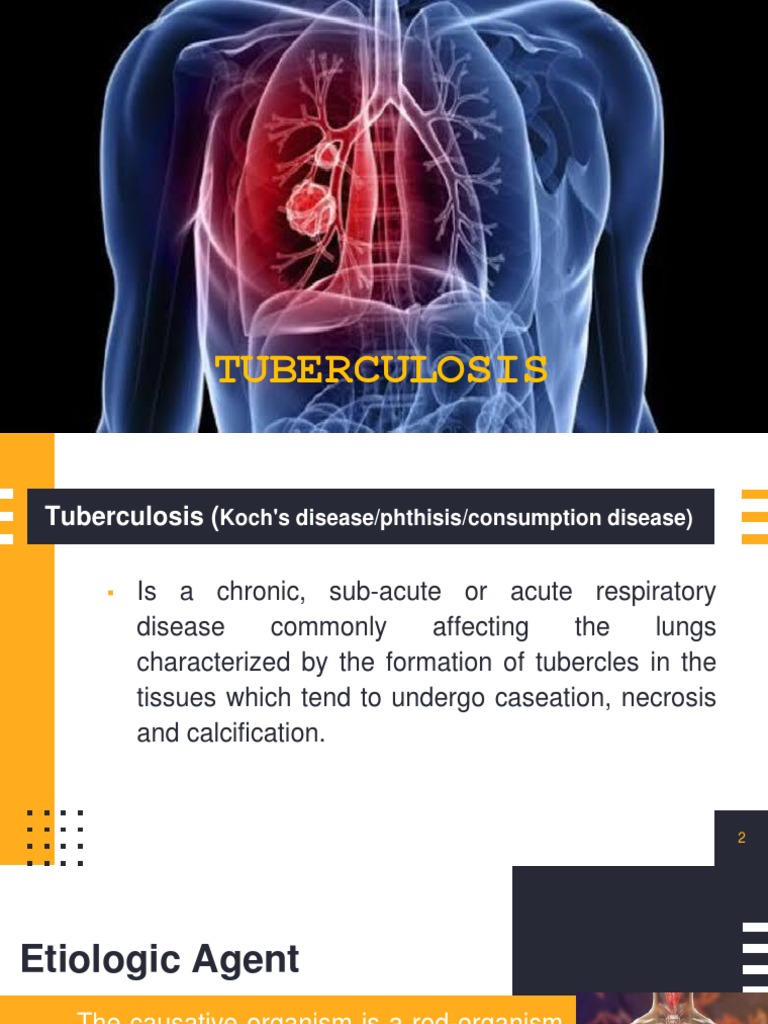 Tuberculosis | PDF | Tuberculosis | Clinical Medicine