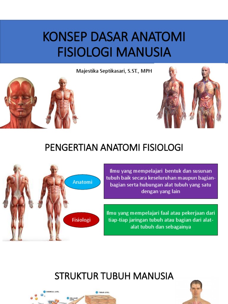 Konsep Dasar Anatomi Fisiologi Manusia | PDF