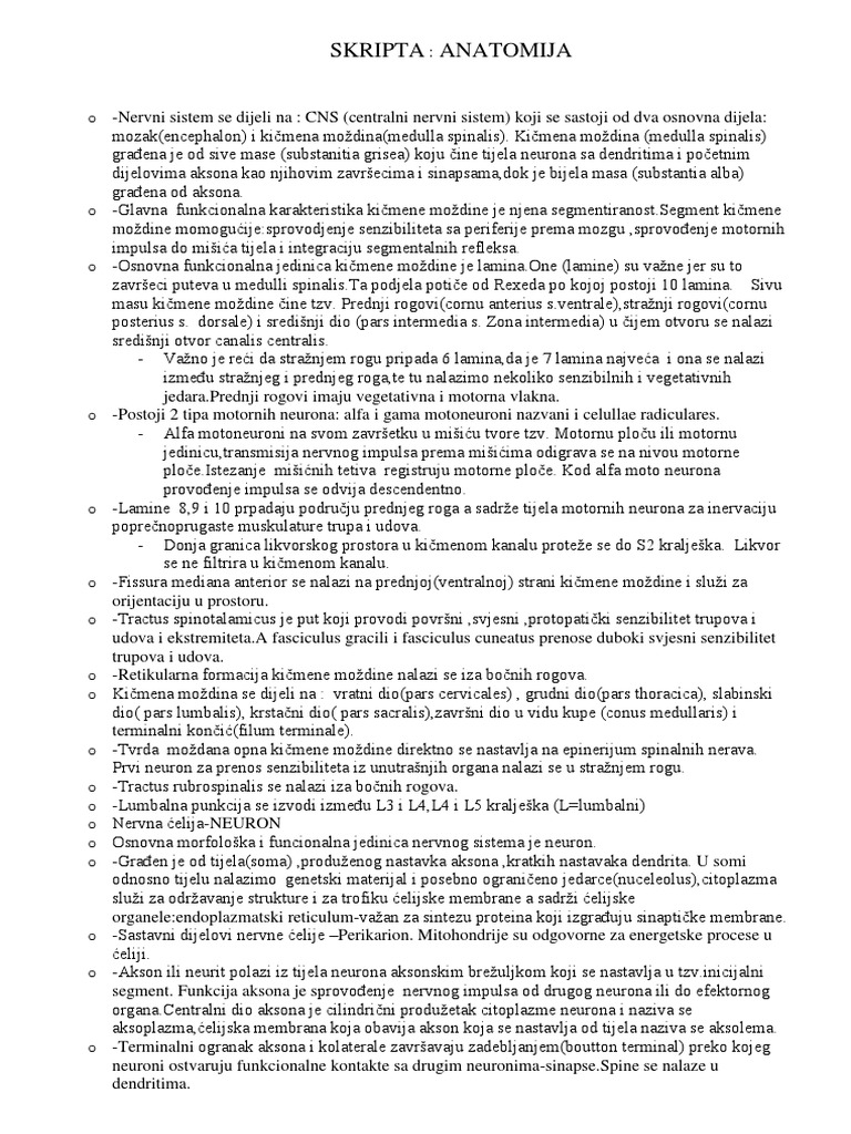 Skripta CNS-a | PDF