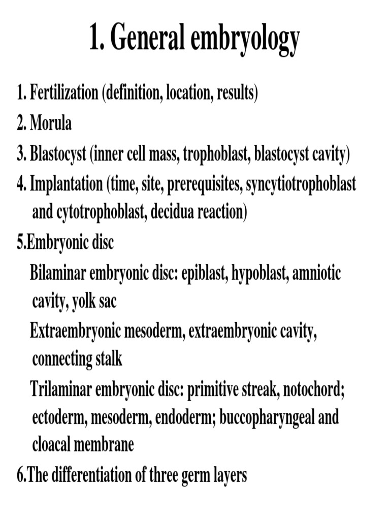 Review Embryology