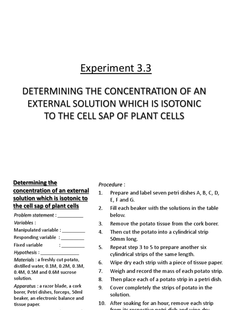 Experiment Potato Strips | PDF