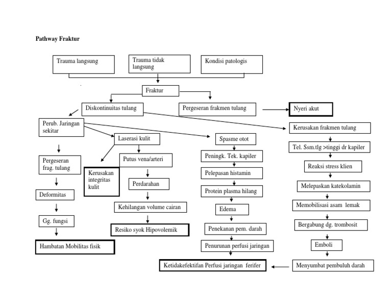 Pathway Fraktur | PDF