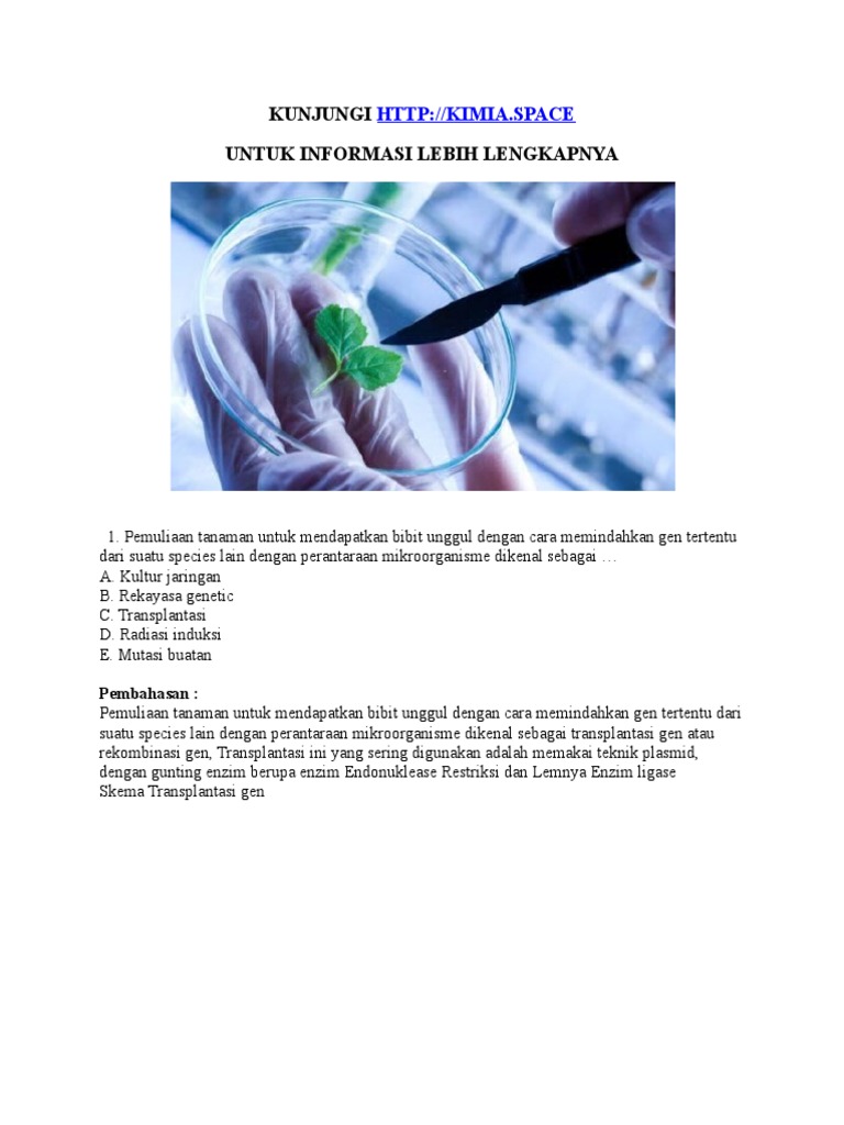 Kuis Bioteknologi dan Rekayasa Genetika | PDF