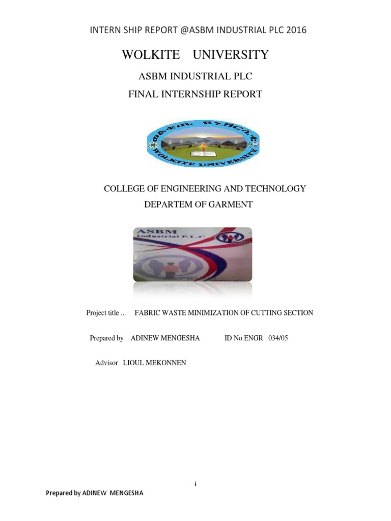 Adinew Best Project PDF | PDF