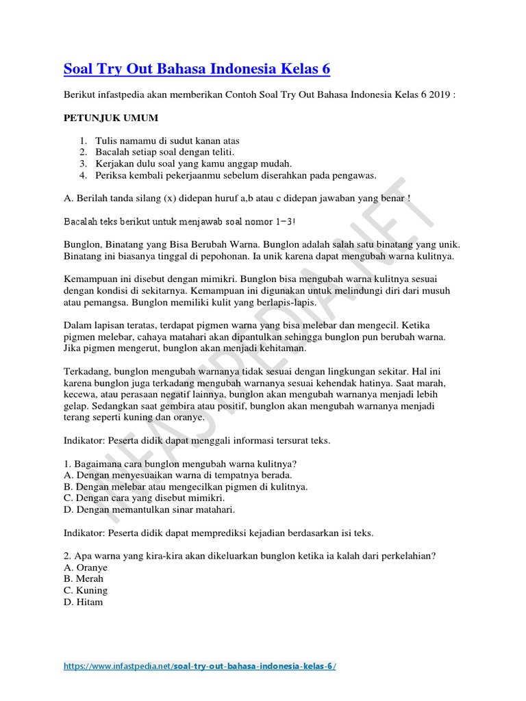 Soal Try Out Bahasa Indonesia Kelas 6 | PDF