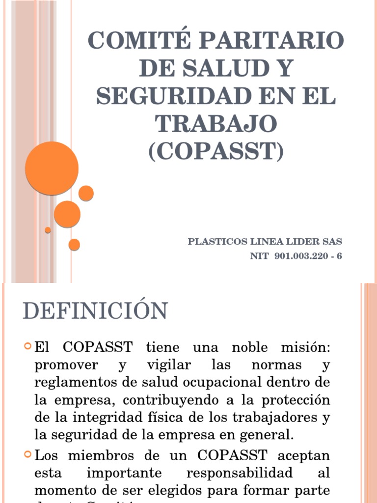 Funciones del COPASST en Plásticos Línea Líder | PDF | Negocios