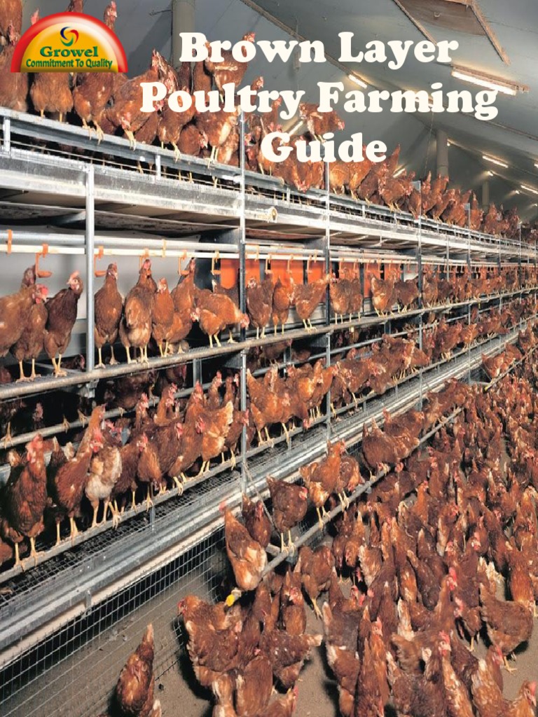 Poultry Farming Pdf Environment Control Poultry Farm In Ajmer