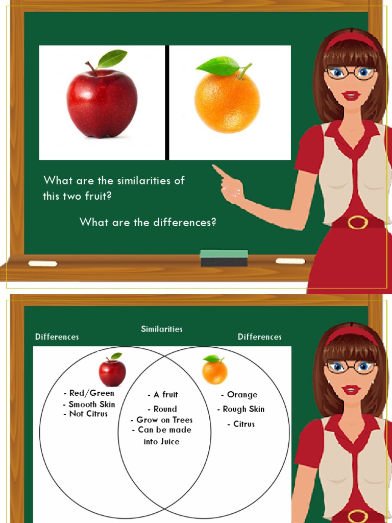 An Introduction To Comparison & Contrast | PDF