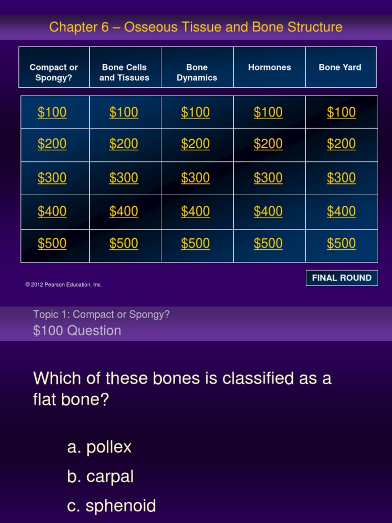 Chapter 6 Bone Tissue Anatomy and Physiology Quiz | PDF | Wellness