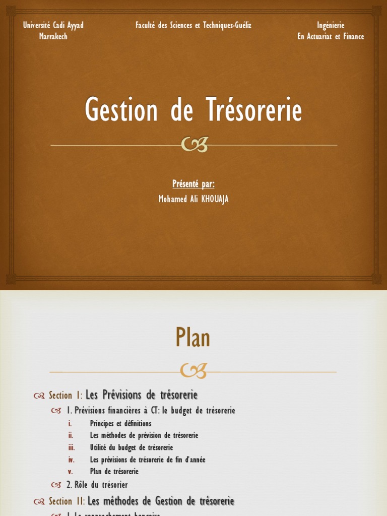 Géstion de Tresorerie | PDF