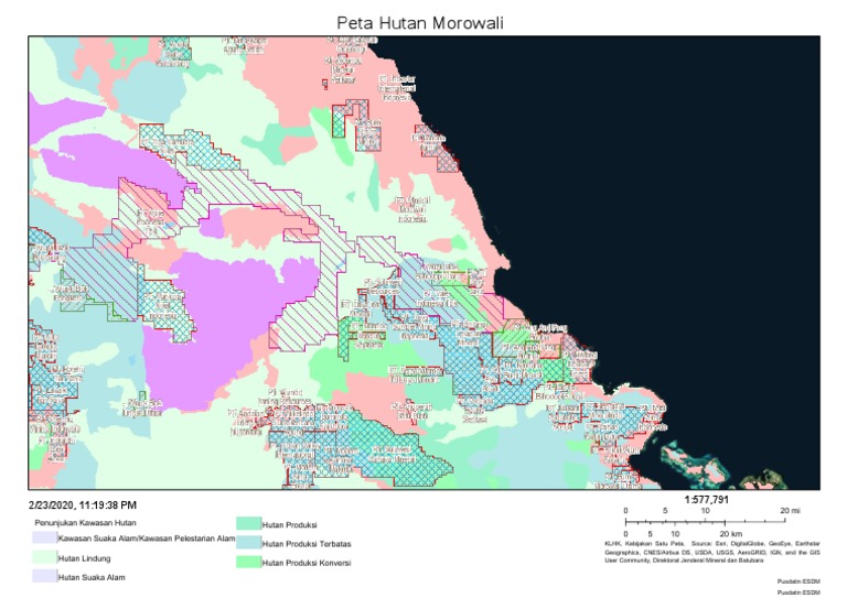 3.Peta Hutan Morowali