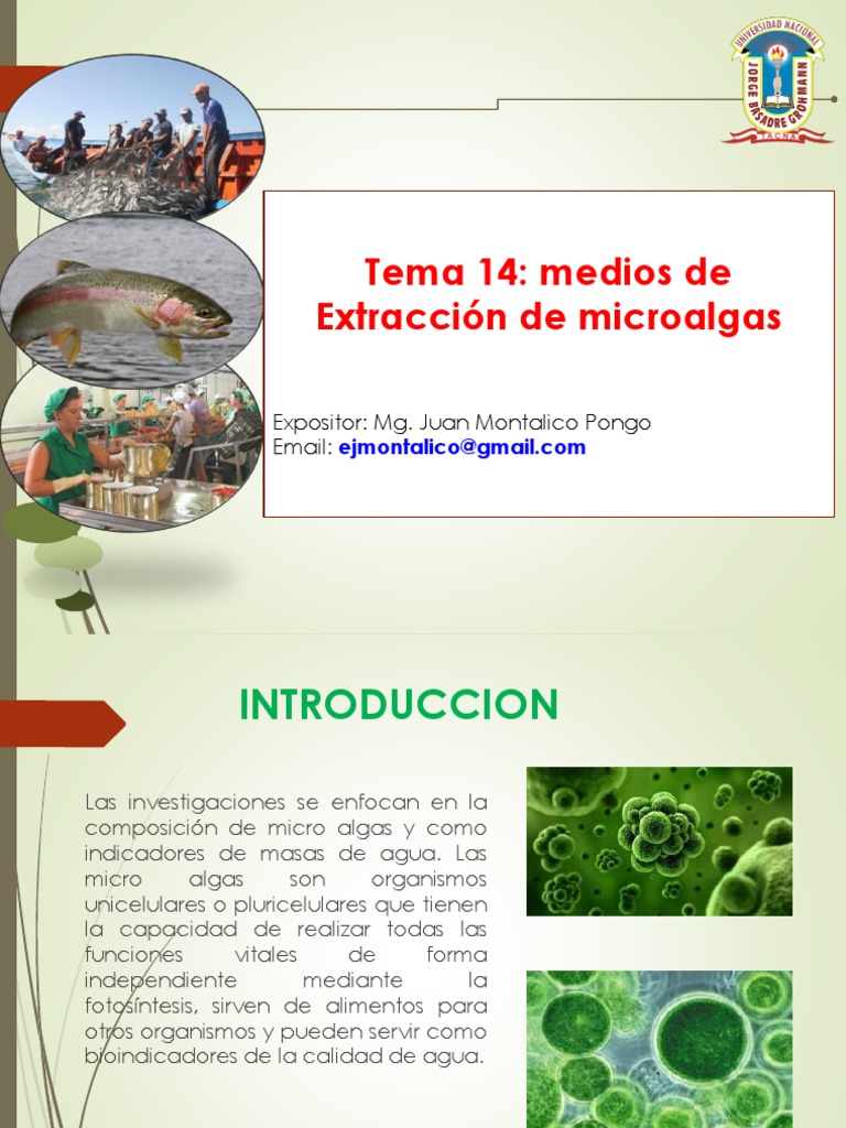 Ficologia Clase 14 Extraccion Microalgas | PDF