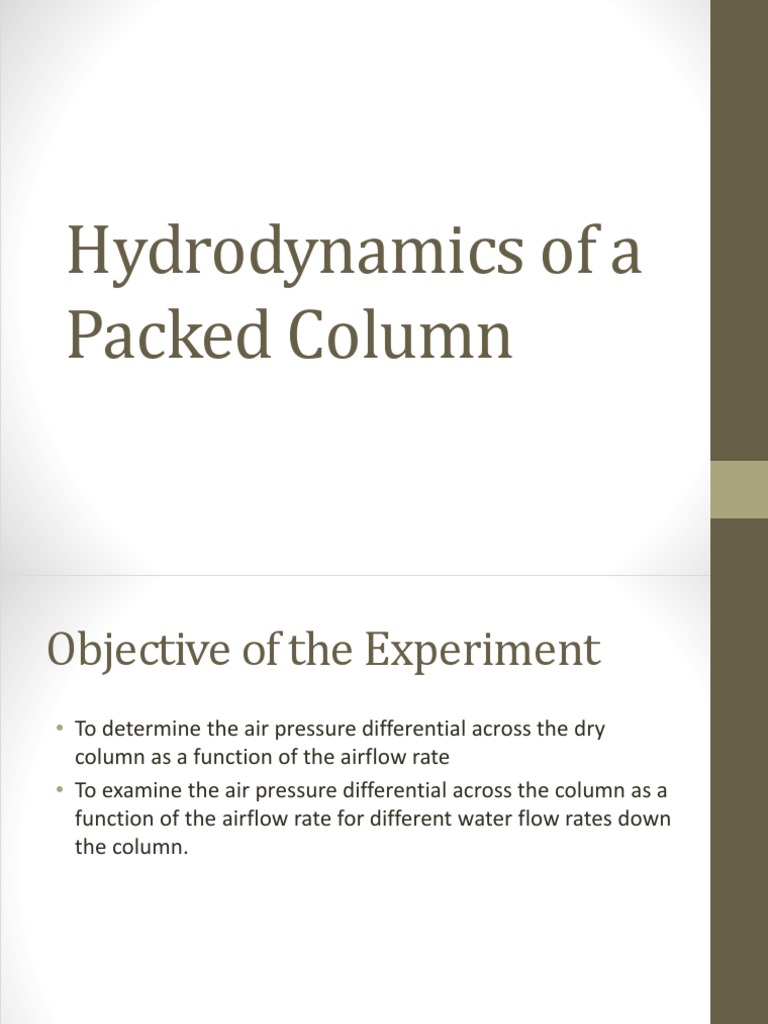 Hydrodynamics in Packed Columns Experiment | PDF