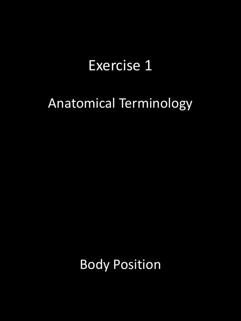 Exercise 1 Anatomical Terminology | PDF