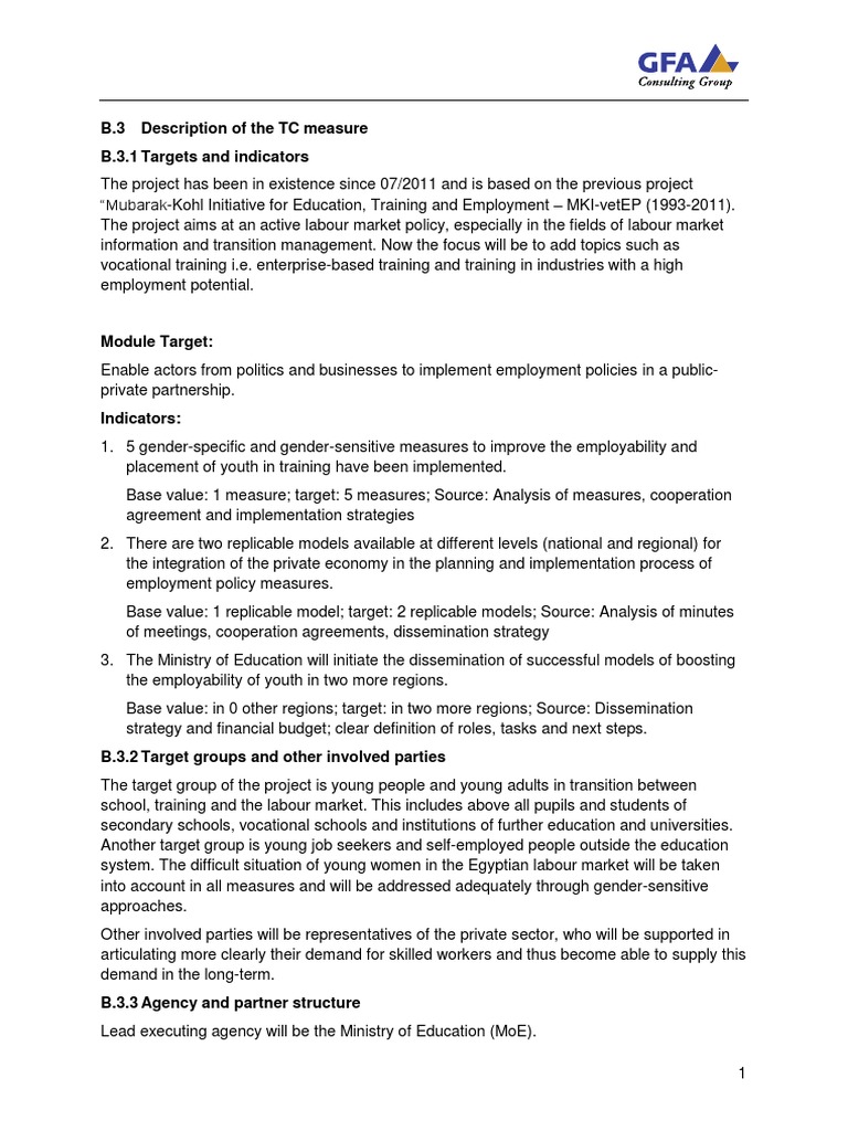 ENG - ToR GIZ Egypt Youth Employment | PDF