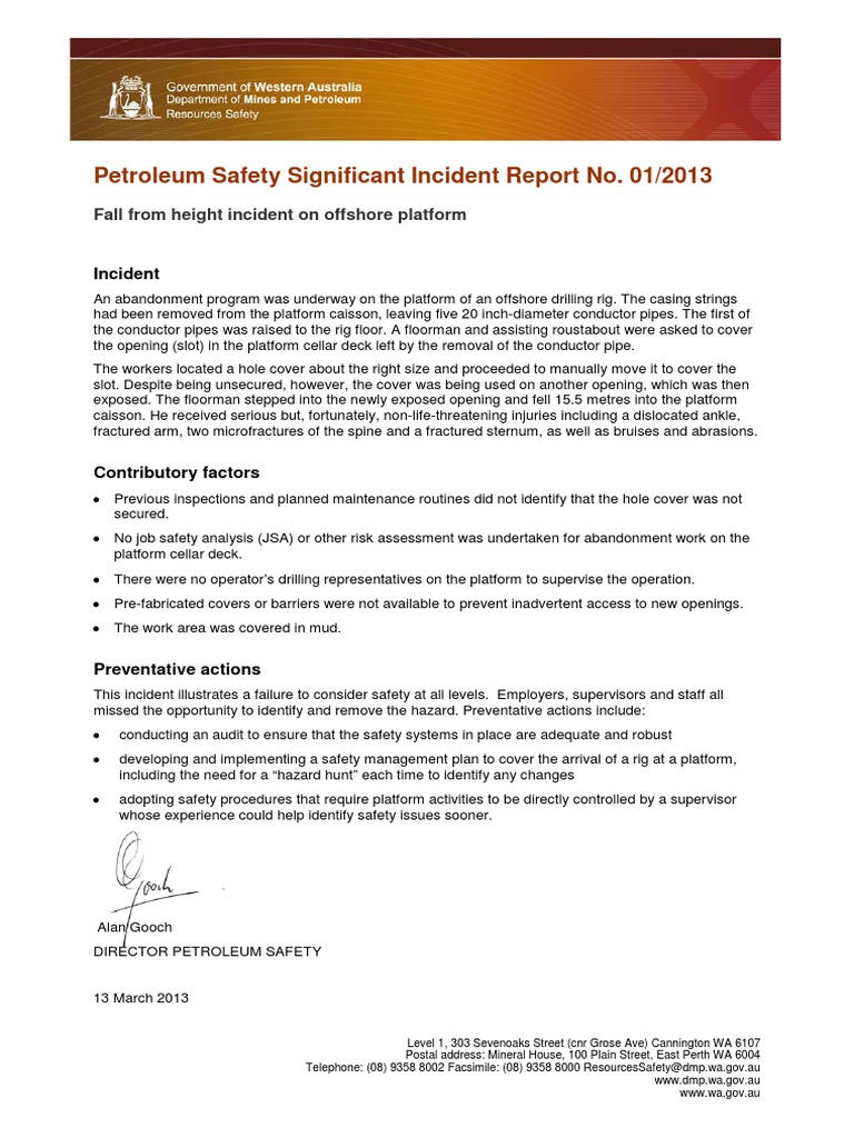 Fall from Height Incident Report 2013 | PDF