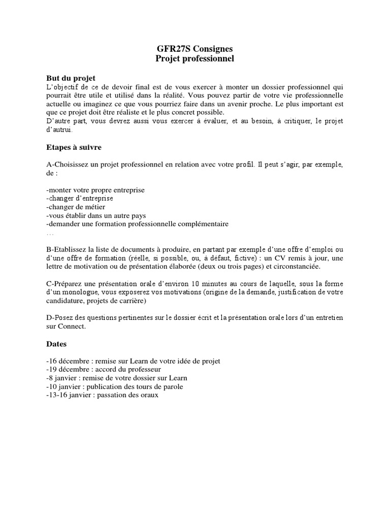 Dossier de projet professionnel détaillé | PDF | Évolution de carrière