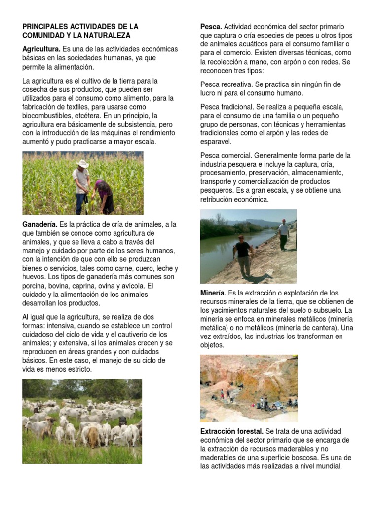 Principales Actividades de La Comunidad y La Naturaleza | PDF
