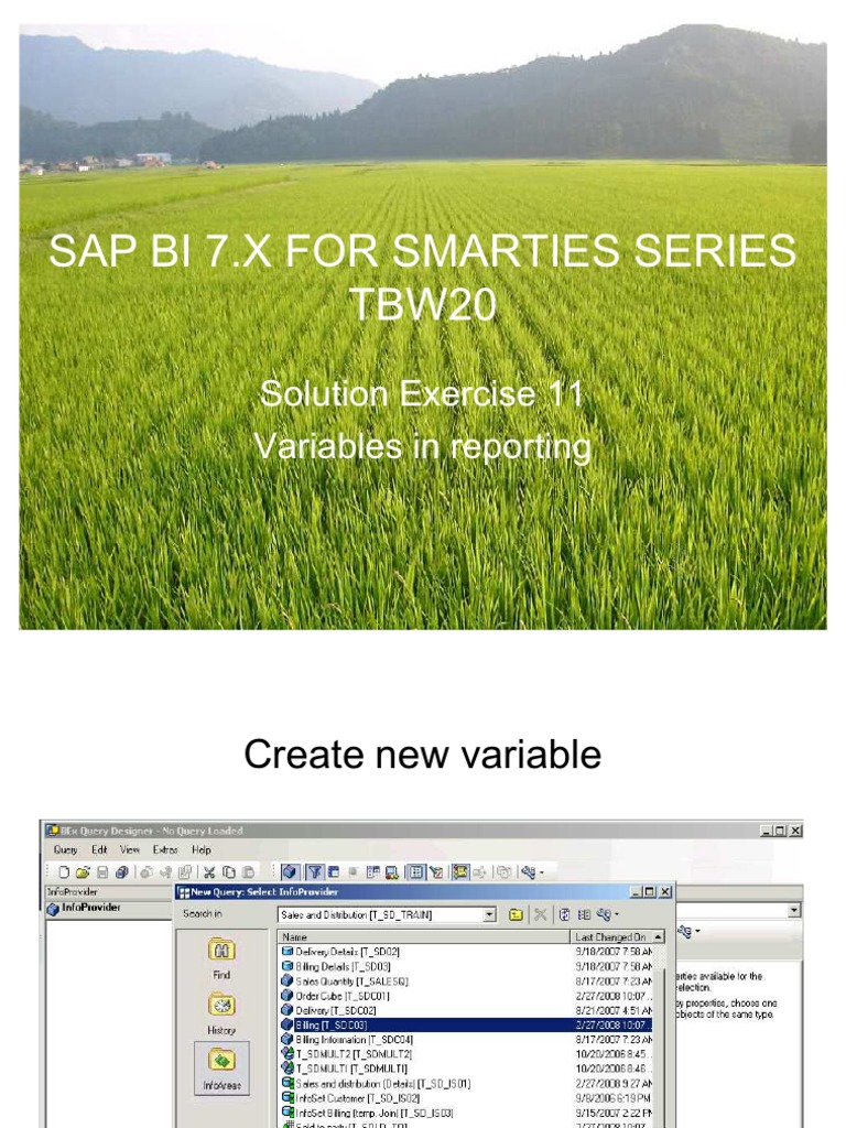 SAP BW Reports Variables | PDF