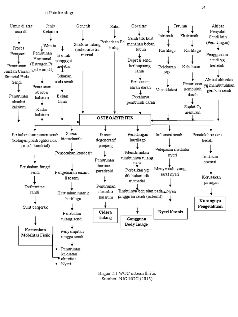 Woc Osteoartritis | PDF