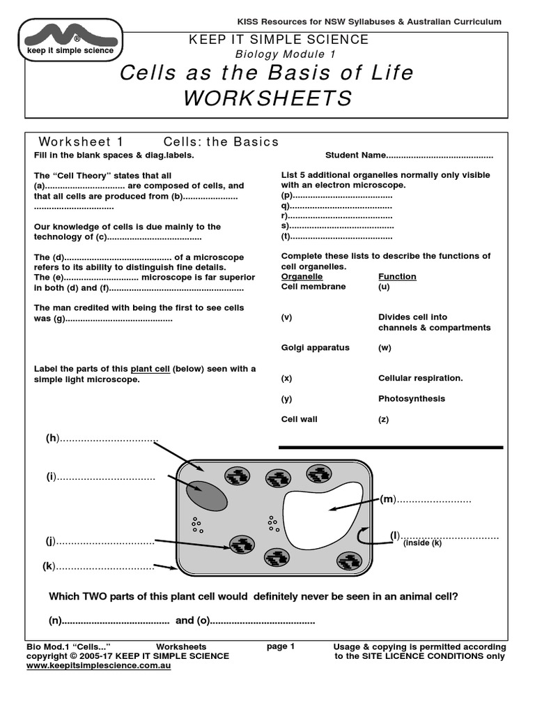 Bio Module 1 Worksheets | PDF