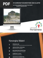 Batu Rijang Dan Proses Pembentukannya | PDF | Ilmu Sosial