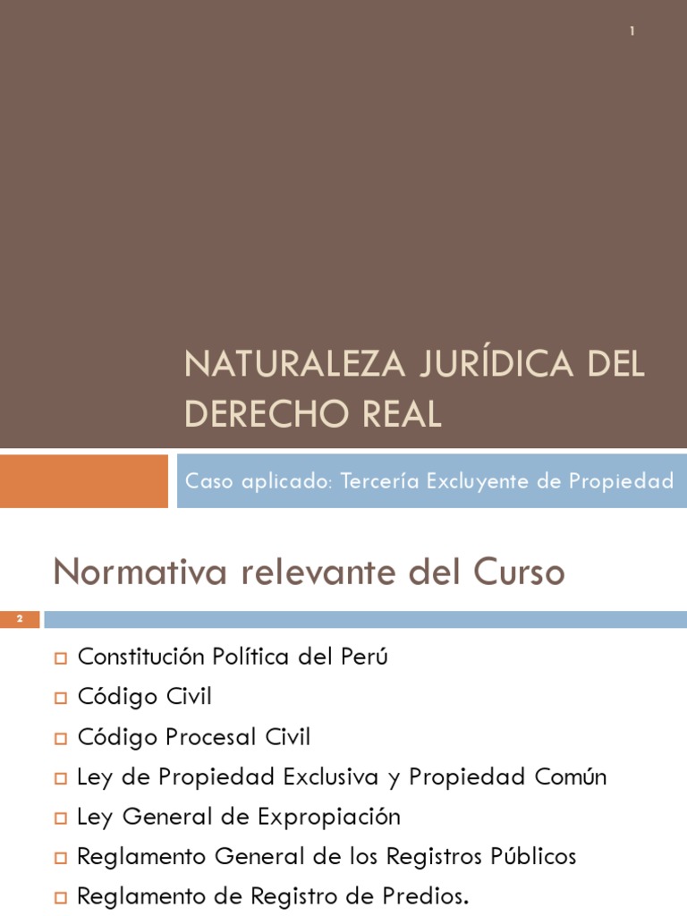 Derechos Reales 1 | PDF | Propiedad | Conceptos legales