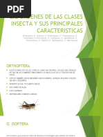 Anatomía de la Arteria Pedia del Pie | PDF | Pie | Dedo del pie