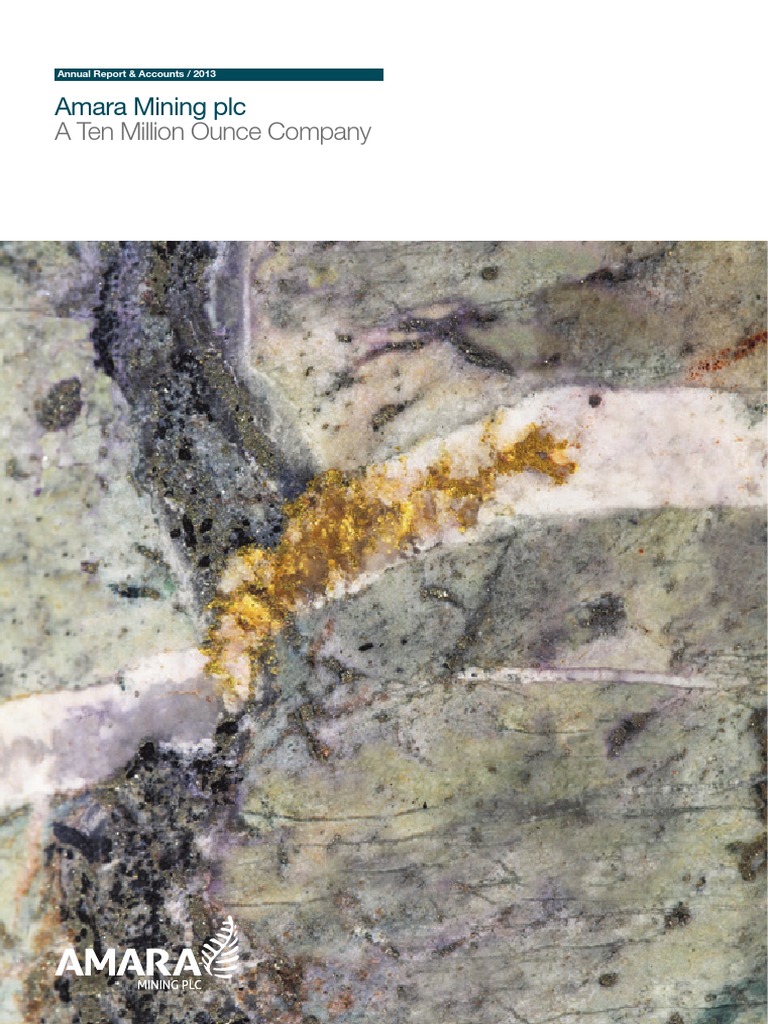 Amara Mining PLC 13 Annual Report | PDF | Internal Rate Of Return | Mining