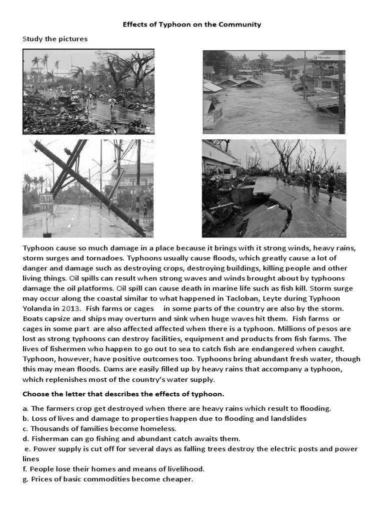 Effects of Typhoon On The Community | PDF