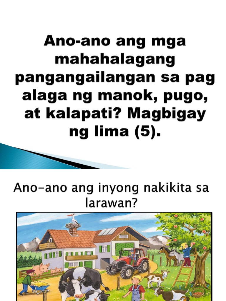 Paano Mag-Alaga NG Hayop | PDF