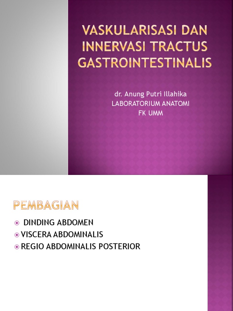 VASKULARISASI DAN Innervasi Tractus Gastrointestinalis PDF | PDF