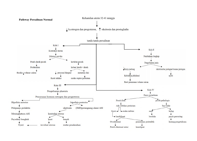 Pathway Persalinan | PDF