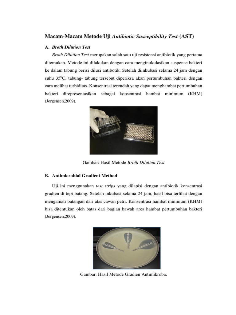 Macam-Macam Uji Antibiotik Suspecibility Testing | PDF