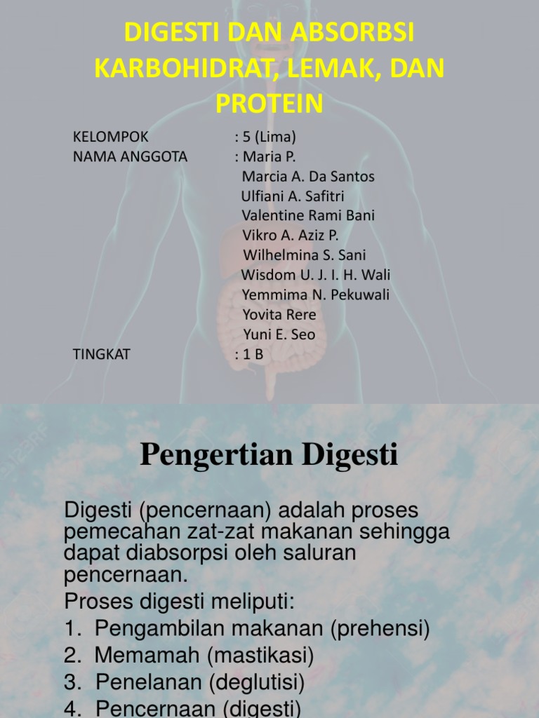 Digesti Dan Absorbsi Karbohidrat, Lemak, Dan | PDF
