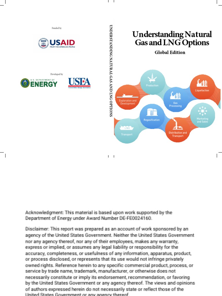 Understanding Natural Gas and LNG Options | PDF